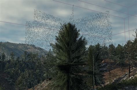 tree texture issues r unrealengine