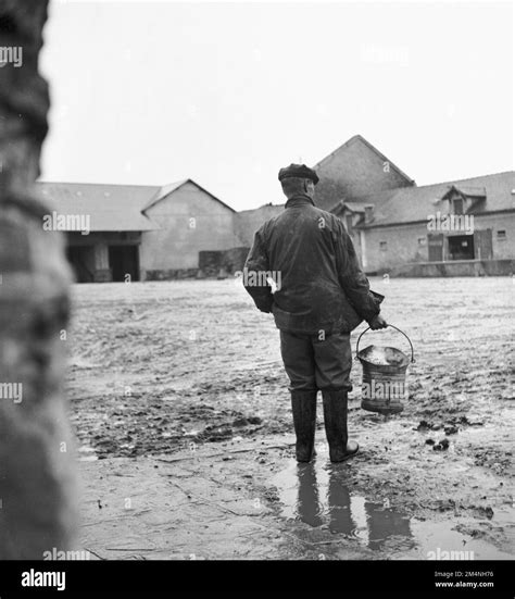 Technical Assistance Railroads Photographs Of Marshall Plan Programs