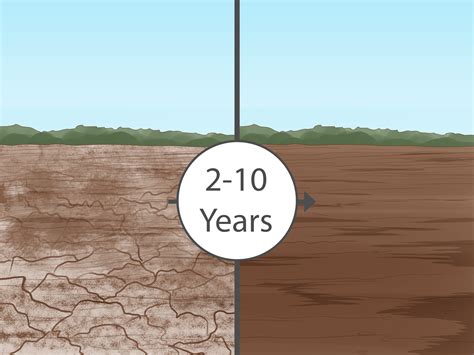 3 Simple Ways To Reduce Salinity In Soil WikiHow