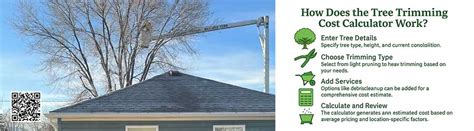 Tree Trimming Cost Calculator Accurate Tree Trimming Costs Treetrimmingcostcalculator Com
