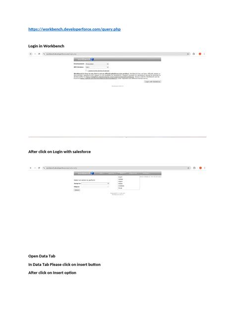 Salesforce Insert Option Pdf