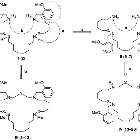 Design Strategy For The Synthesis Of Macrocyclic Polyamines Of The