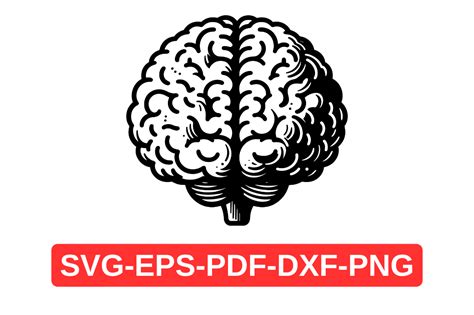 Brain Outline Svg Vector Brain Svg Art Graphic By Artful Assetsy · Creative Fabrica