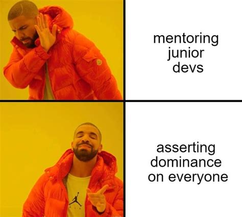 What Senior Devs Should Be Doing Rprogrammerhumor