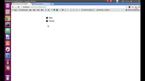 How To Make Custom Radio Buttons In Css Youtube