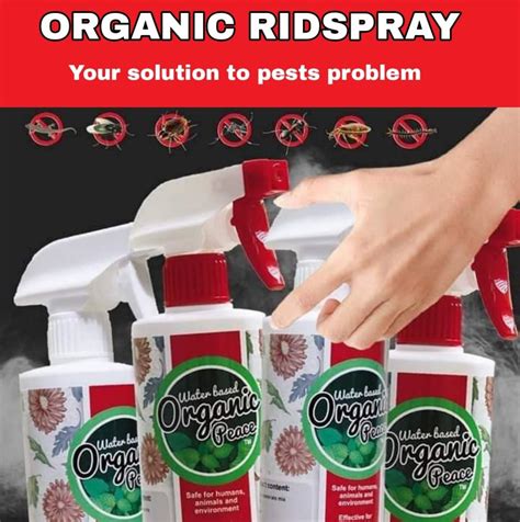 Organic Ridspray Waterbased Insecticide Odourless Cockroach Lizard Ants Lipas