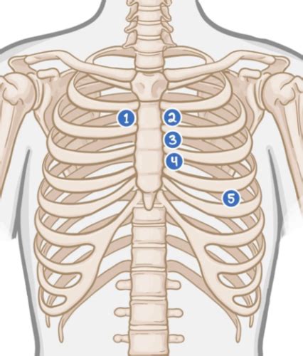 Nurs 210220 Exam 2 Flashcards Flashcards Quizlet