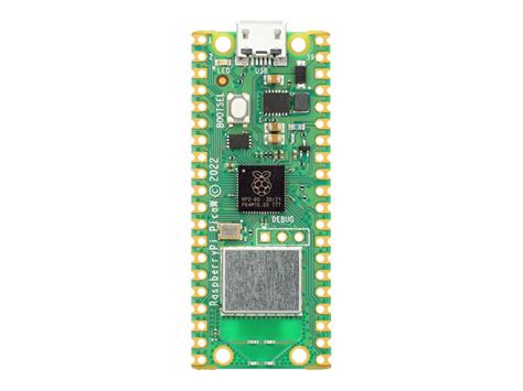 Raspberry Pi Raspberry Pi Pico W Raspberry Pi Pi Pico W Development