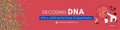 Decoding Dna Pcr Vs Qpcr And The Power Of Quantification Safe Milk Labs
