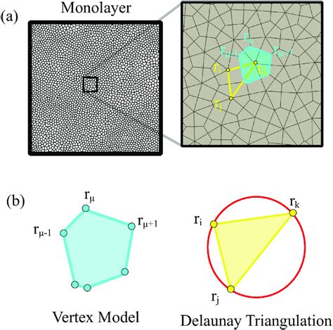 Voronoi Tessellation And Delaunay Triangulation A Here R μ Are Download Scientific Diagram