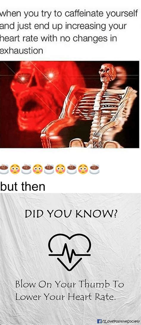 Did You Know Memes Album On Imgur