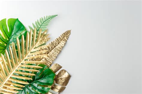 흰색 배경에 녹색과 금 열대 야자수 잎의 상단보기 최소한의 여름 개념 플랫 레이 0명에 대한 스톡 사진 및 기타 이미지 0명 개념 나뭇가지 Istock