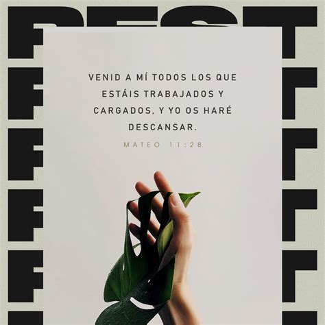 Mateo 1128 Venid A Mí Todos Los Que Estáis Cansados Y Cargados Y Yo
