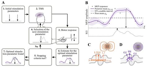 Bayesian Optimization Of Stimulation Targeting A Algorithm Flowchart