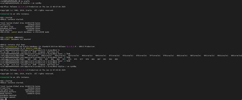 Docker 安装 Oracle 12c 伦少的博客