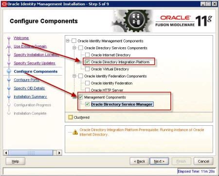 OID 11g Distributed Install DIP ODSM Java Component OID LDAP