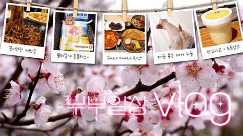 일상브이로그 심심할 땐 남편과 홈플러스😆 처음 먹어보는 망고사고 🌸벚꽃 없는 여의도 벚꽃축제 Ifc몰 구씨네 떡볶이 자궁용종제거 도삭면 맛집 웨이팅
