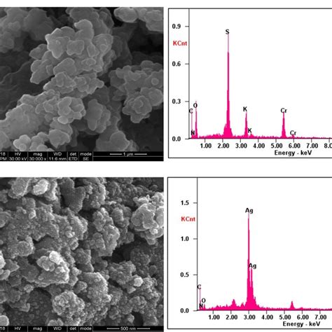 A Sem Edx Image Of Pure Ppy B Sem Edx Image Of Doped Ppy Download Scientific Diagram