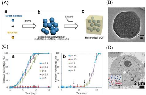 A The Ph‐induced One‐pot Synthesis Of Mofs With Encapsulated Target