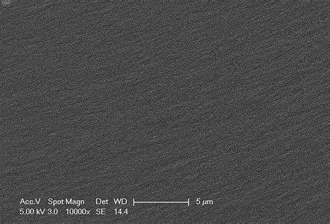 Sem Micrograph Of H2s Sensitive Polymeric Membrane At 10000 × Magnification Download