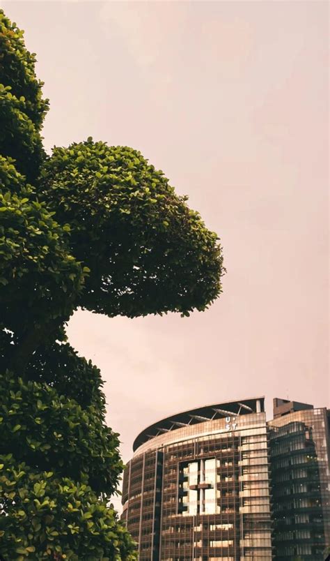 Akhil Joseph On Linkedin Newbeginnings Careergrowth Onemonthmilestone Ust