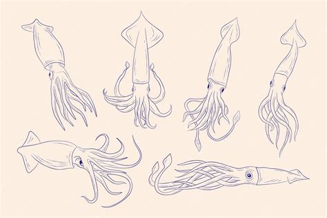 Premium Vector Squids Vintage Vector Illustration Set For A Menu