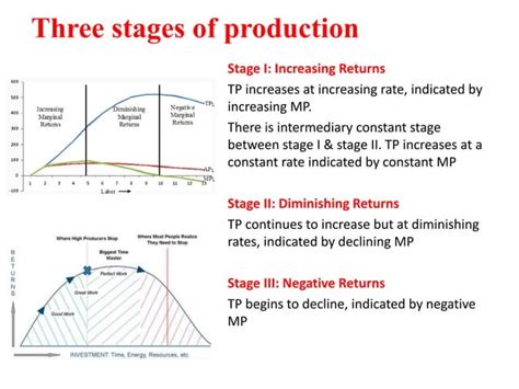 Production Function And Cost Elasticity Maruti Suzuki Ppt