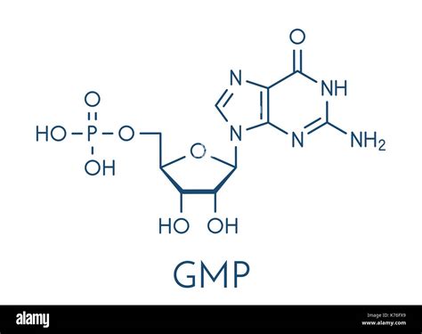 Guanosine Monophosphate Gmp Guanylic Acid Rna Building Block