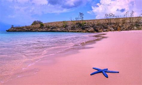 Destinasi Instagramable Di Lombok Yang Wajib Masuk Feed Kamu