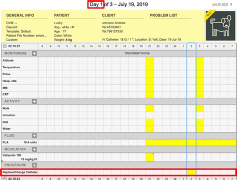 Is There An Option To Put A Second Iv Catheter Idexx Smartflow Support