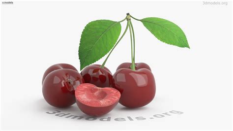 360 View Of Bunch Cherries Leaf 3d Model 3dmodels Store
