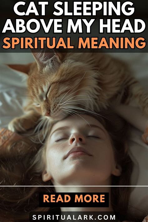 Cat Sleeping Above My Head Spiritual Meaning in 2025 | Cat sleeping ...