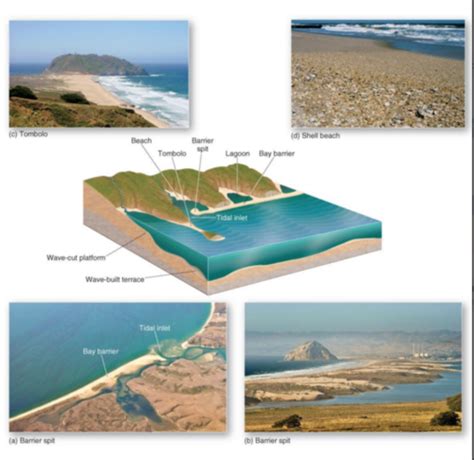 Lab Flashcards Quizlet