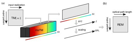 22 A A 3d Mstm Is Assembled By Stacking Monochromatic 2d Tms At