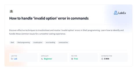 how to handle invalid option error in commands labex