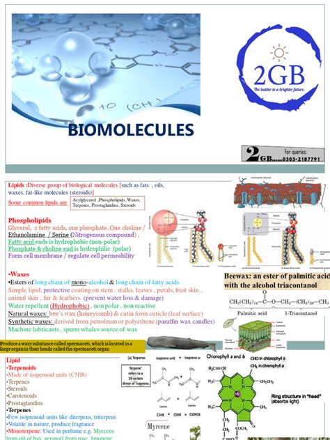 Entry 35 Lipid Types Pdf Lipid Wax
