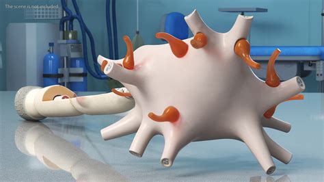 Human Brain Neuron Cross Section Plastic 3d Model Turbosquid 2059379