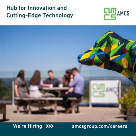 Mid Market Account Executive Amcs Group Ma Shannon
