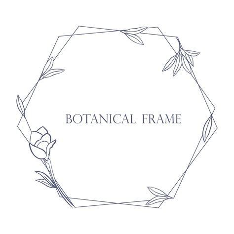 Hexagonal Frame With Leaves And Flowers Vector Illustration 3132566
