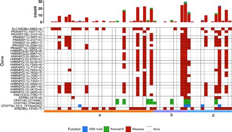 Mutation Types Distribution In Each Sample And Annotation Information Download Scientific