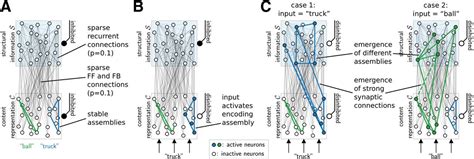 A Model For Structured Information Representation In Neural Networks Of The Brain Eneuro