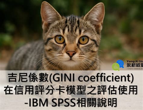 【excel Concatenate函數教學】 永析統計及論文諮詢顧問