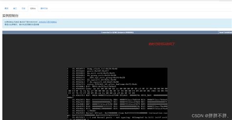 解决：openstack创建实例进入控制台报错something Went Wrong Connection Is Closed 技术栈