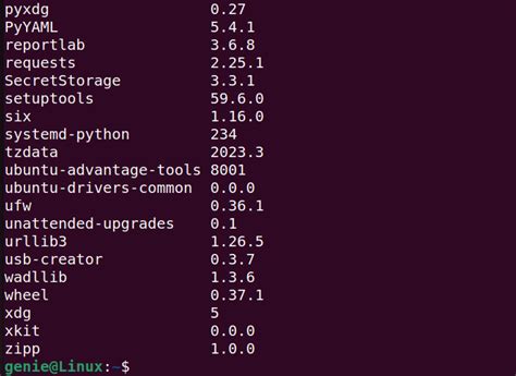 How To Install Pip On Ubuntu Linux Genie