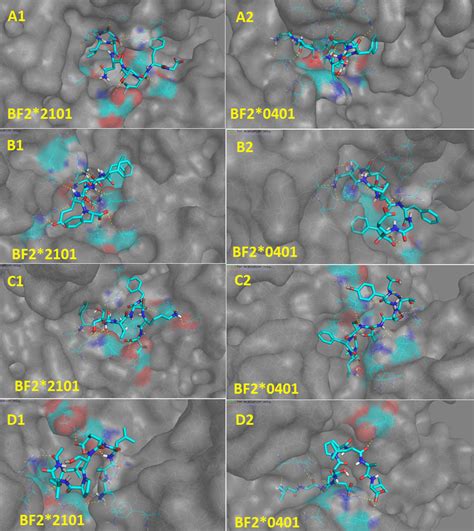 PyMOL Visualization Shows The Polar Binding Interaction Between Download Scientific Diagram