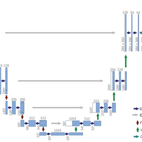 The Novel Network Architecture They Proposed It Includes Up Sampled Download Scientific