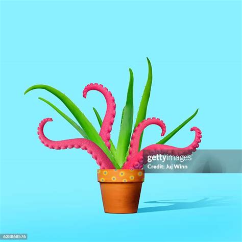 Tentacle At Us Photos And Premium High Res Pictures Getty Images