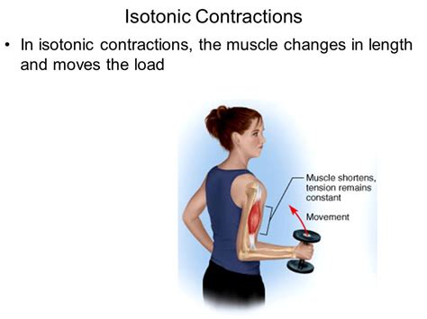 Muscle Overview 3 Different Types Of Muscle Tissue Provide Movement