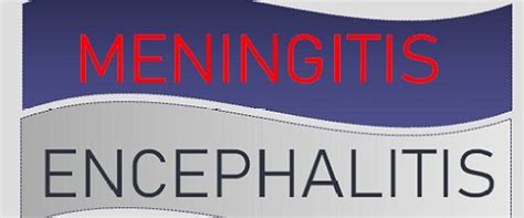 Difference Between Meningitis And Encephalitis With Comparison Chart