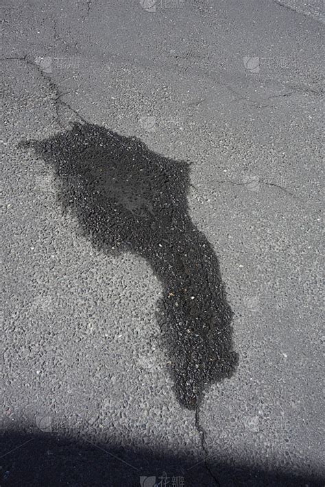 生物形态的形状、结构和图案